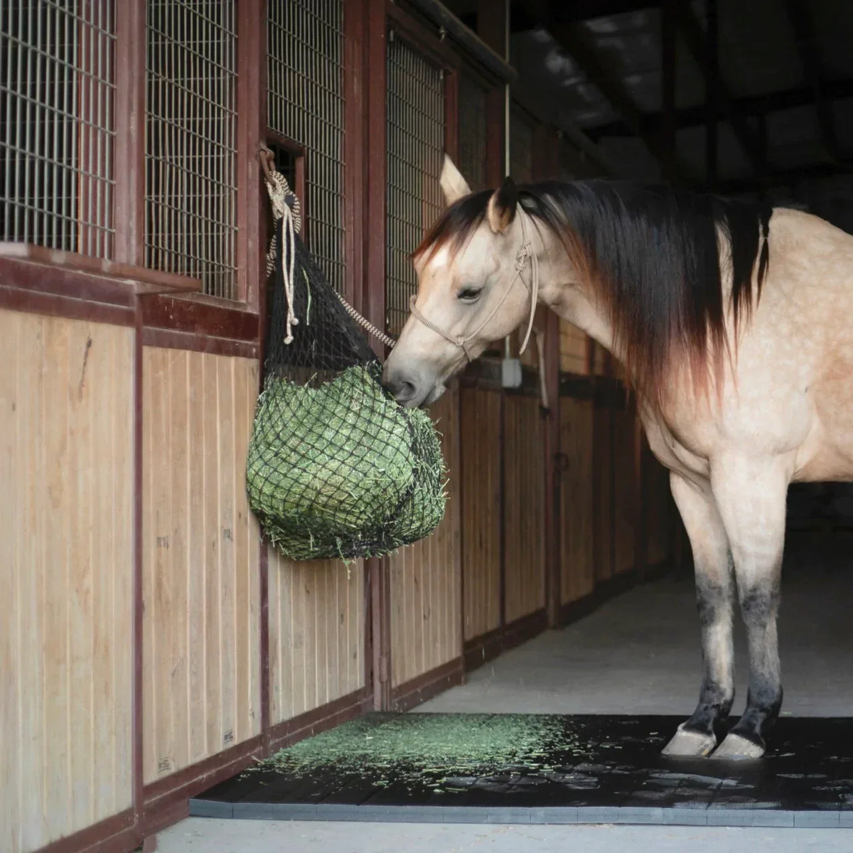 HAY CHIX® Hay Net: The Perfect Way to Keep Your Horse Entertained and ...