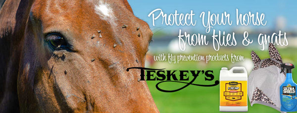 Western Tack Store | Horse Saddle Shop | Teskey's