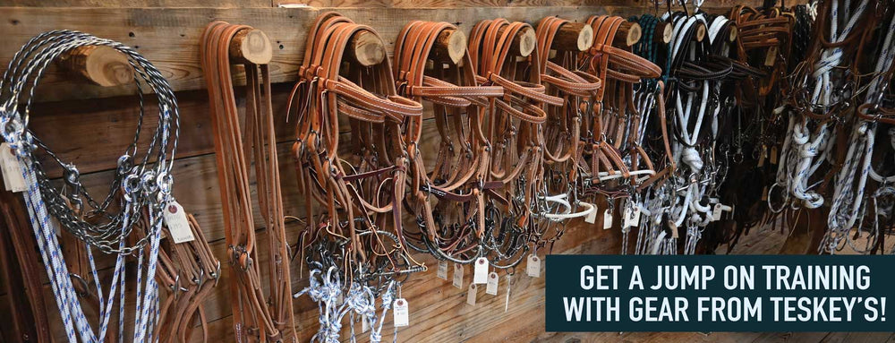 Western Tack Store | Horse Saddle Shop | Teskey's