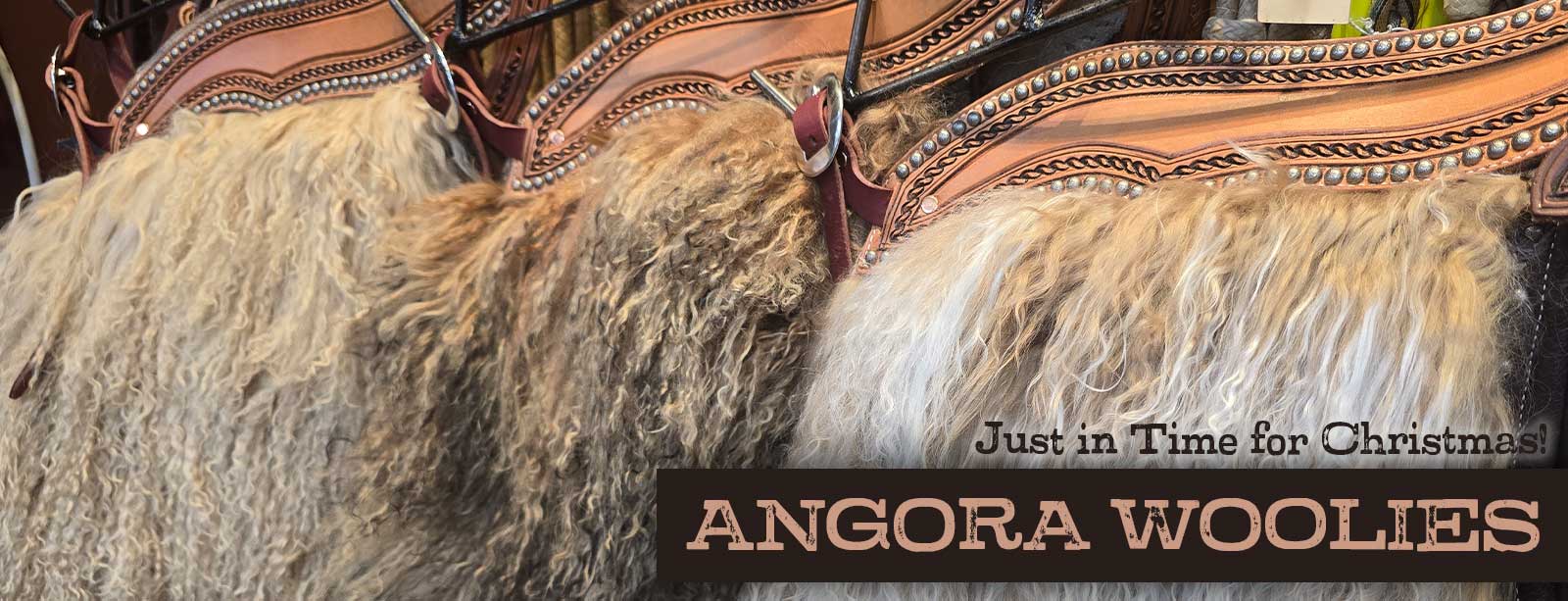 Western Tack Store | Horse Saddle Shop | Teskey's