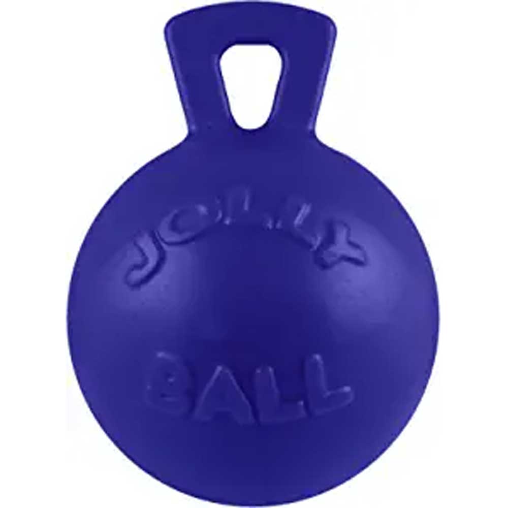 10" Jolly Ball - Teskeys