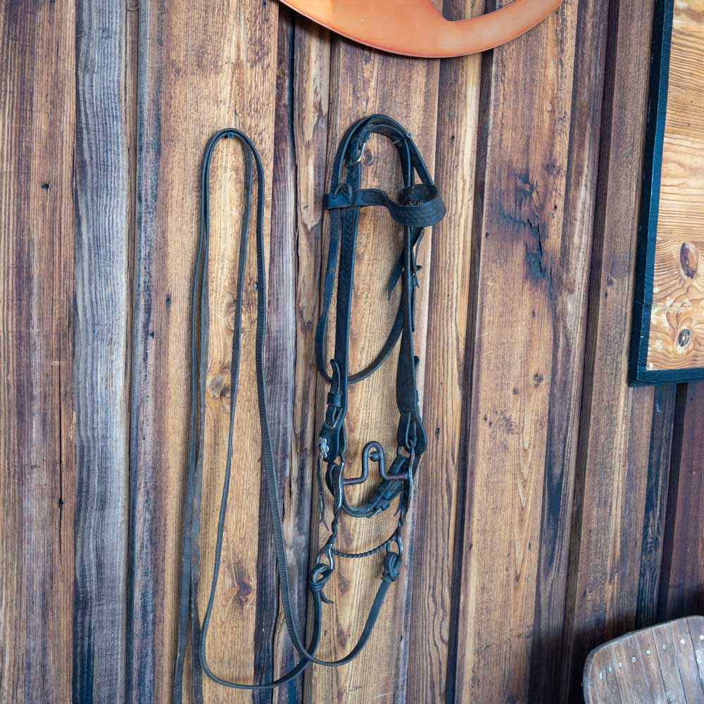 Custom "VOV" Stamped Silver Twisted Vintage Bridle Rig - Teskeys