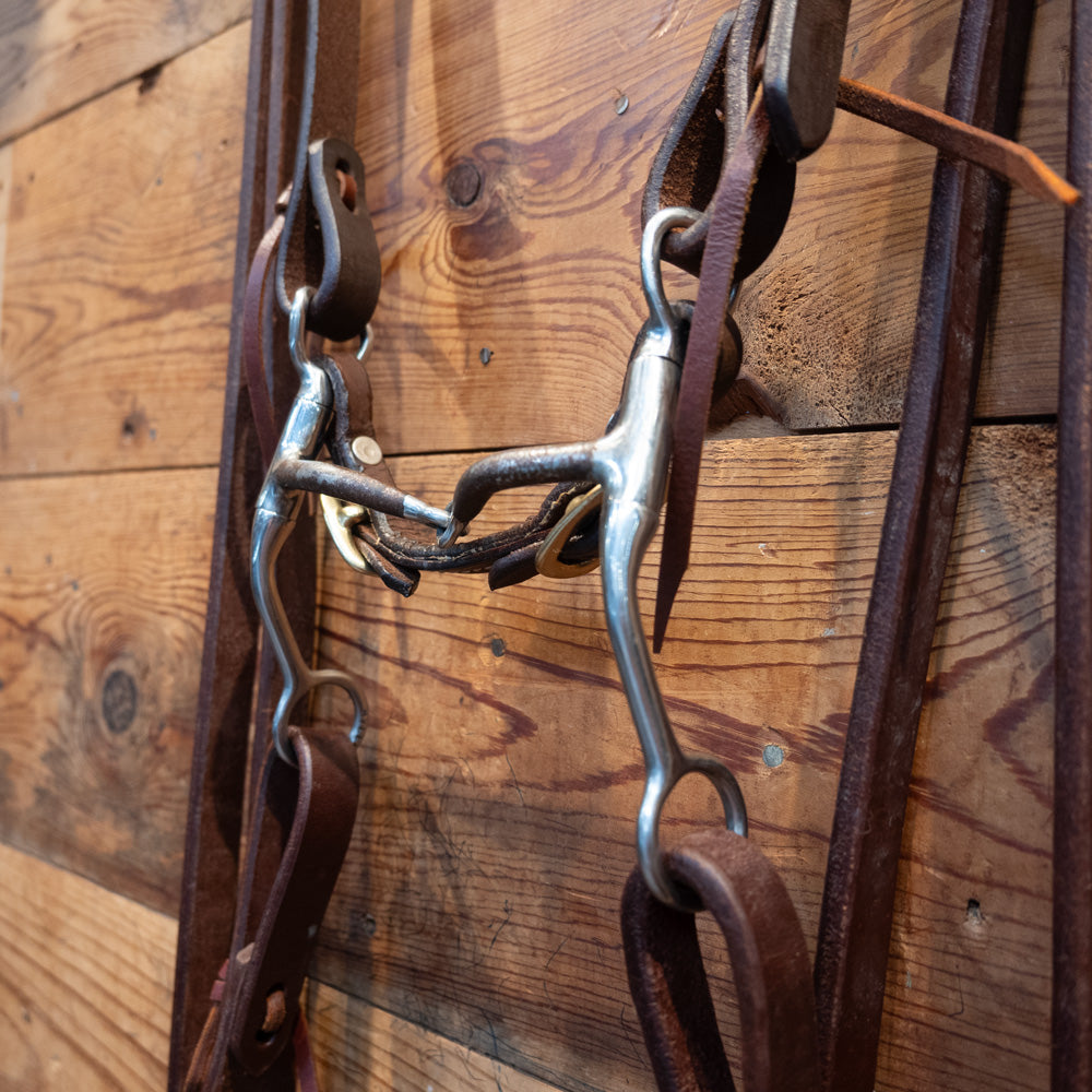 Toklat Shanked Snaffle Bridle Rig — Teskeys
