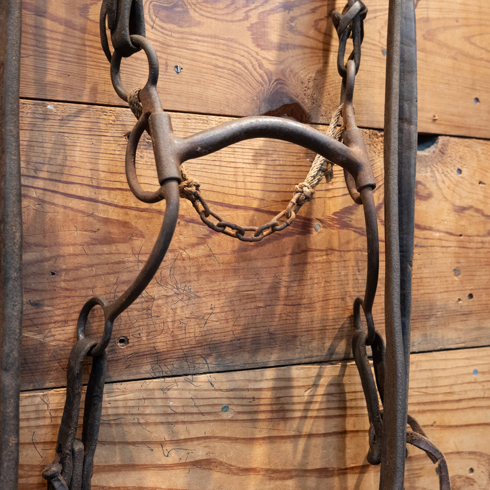 Eich Mullen Bridle Rig — Teskeys