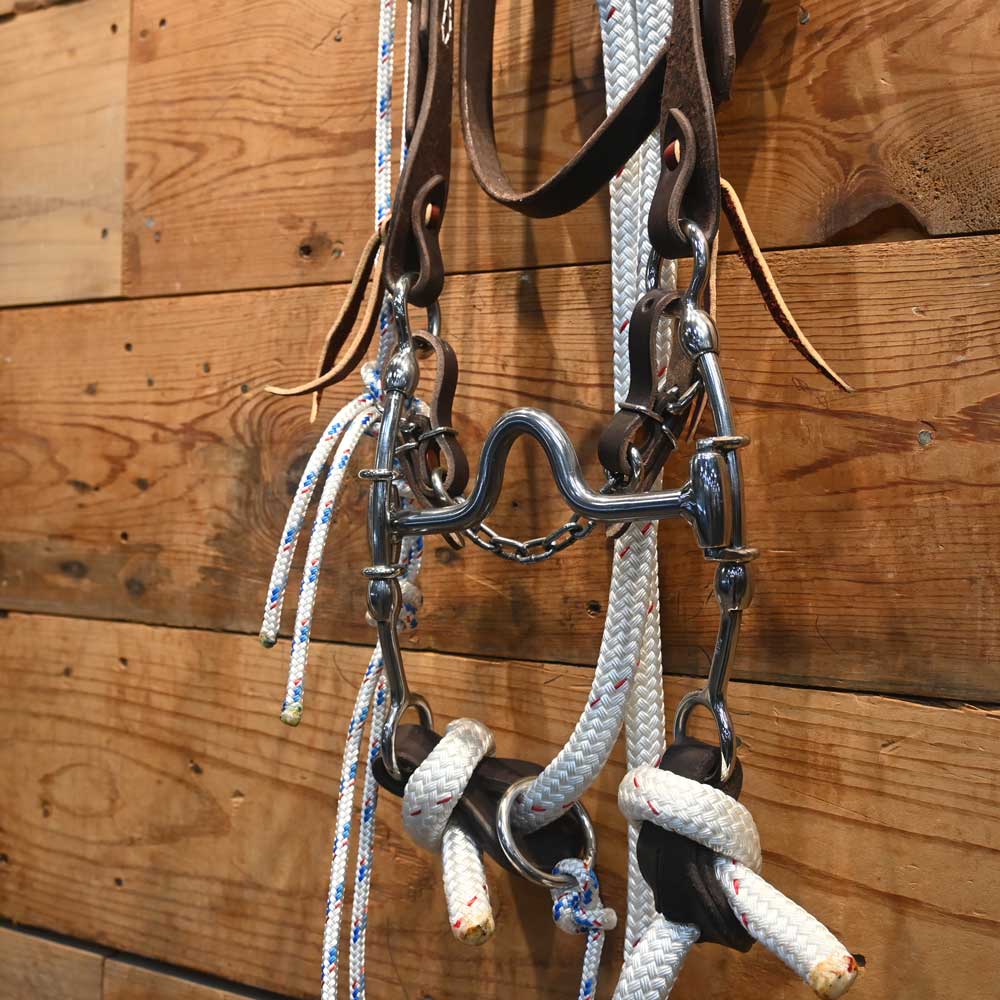 Cow Horse Supply Solid Port Gag Bridle Rig w/Martingale - Teskeys