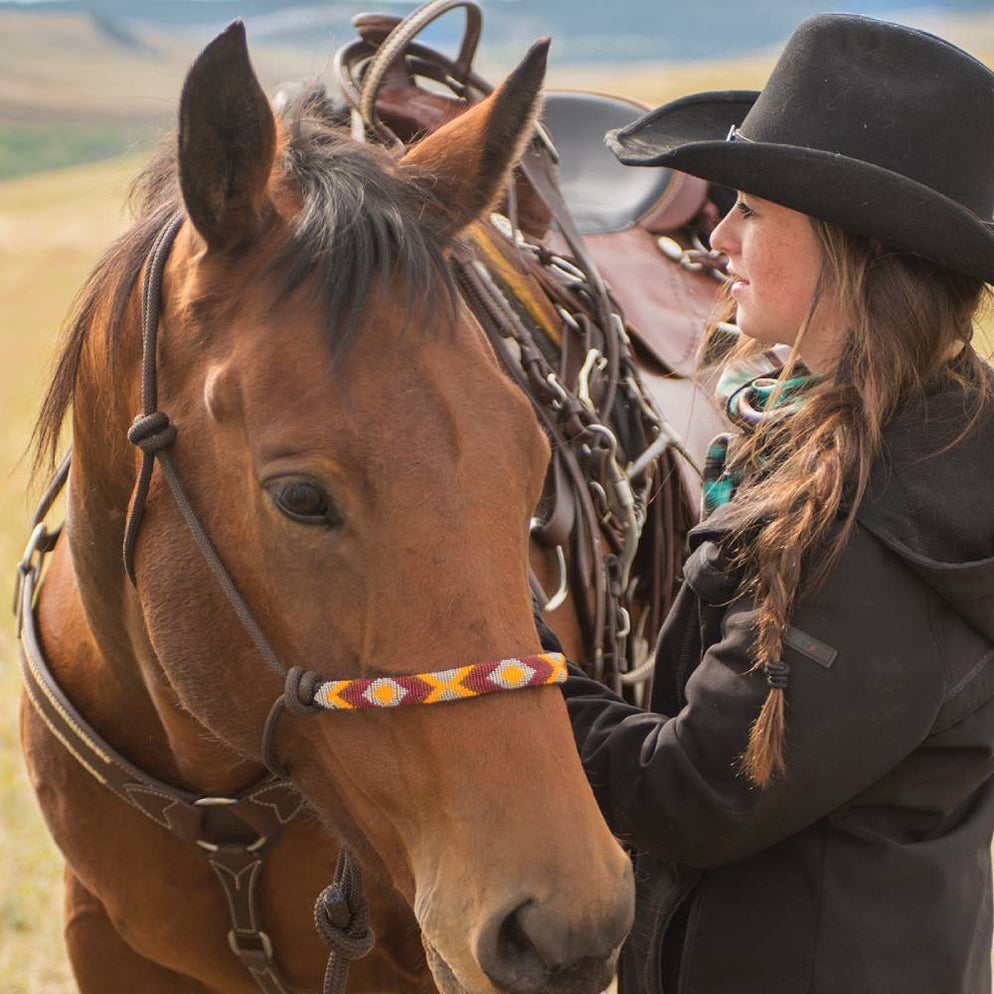 Cashel Beaded Rope Halter with Lead — Teskeys
