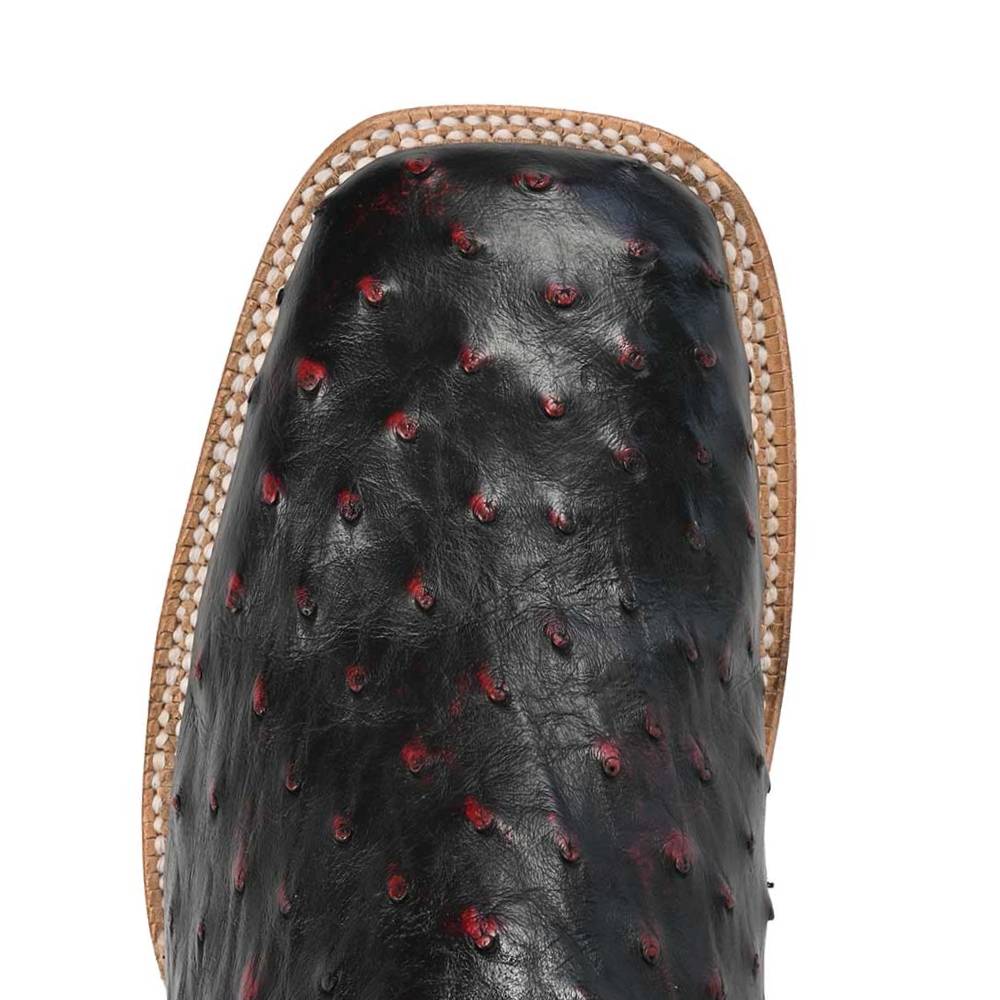 R. Watson Men's Black Cherry Full Quill Ostrich Boot - Teskeys