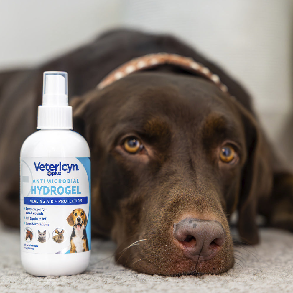 Vetericyn Plus All Animal Hydrogel Spray — Teskeys