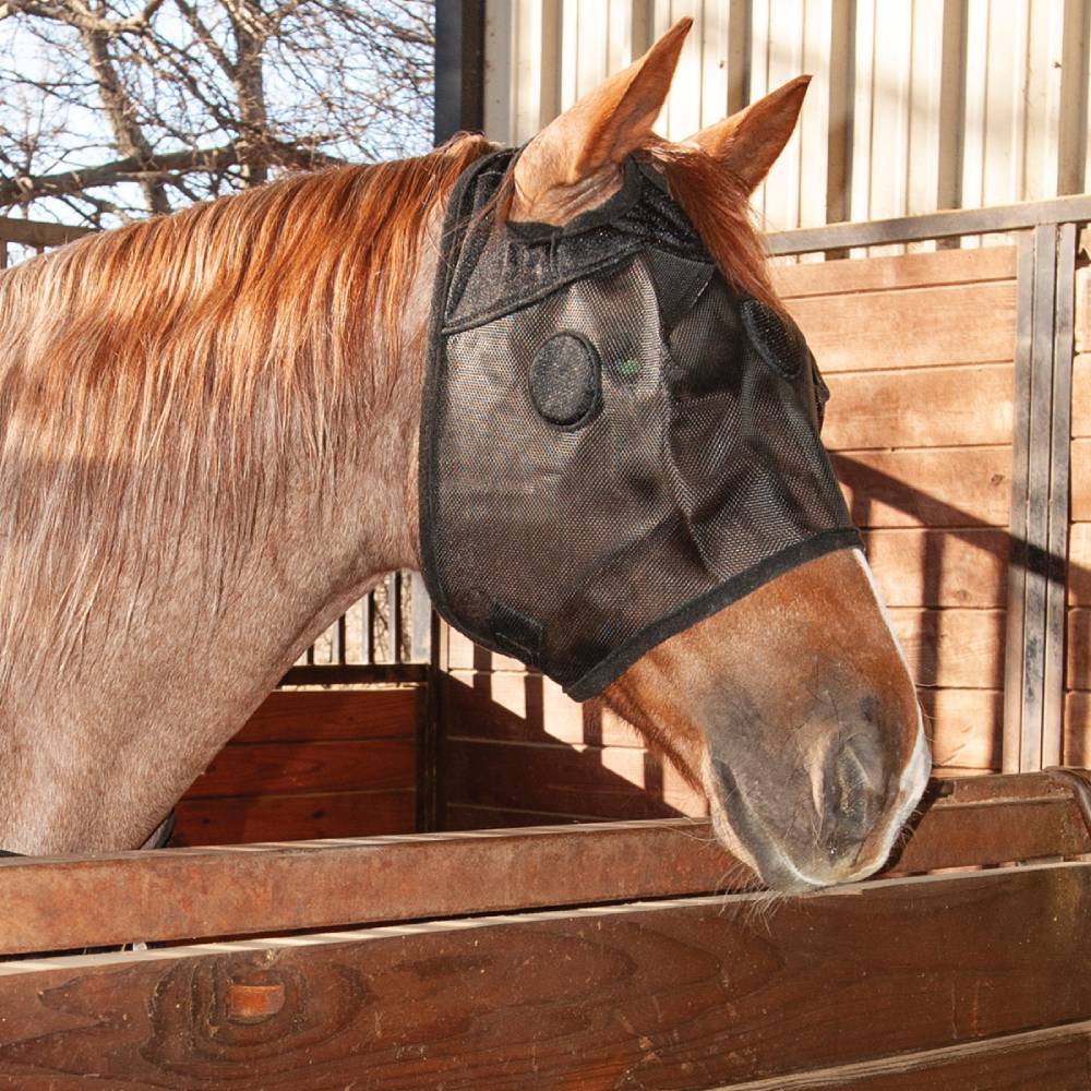 Classic Equine MagNTX Mask — Teskeys