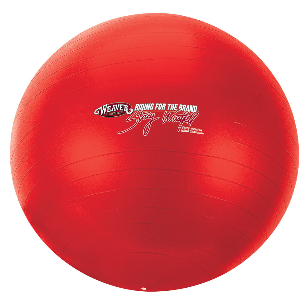 Stacy Westfall Large Activity Ball — Teskeys