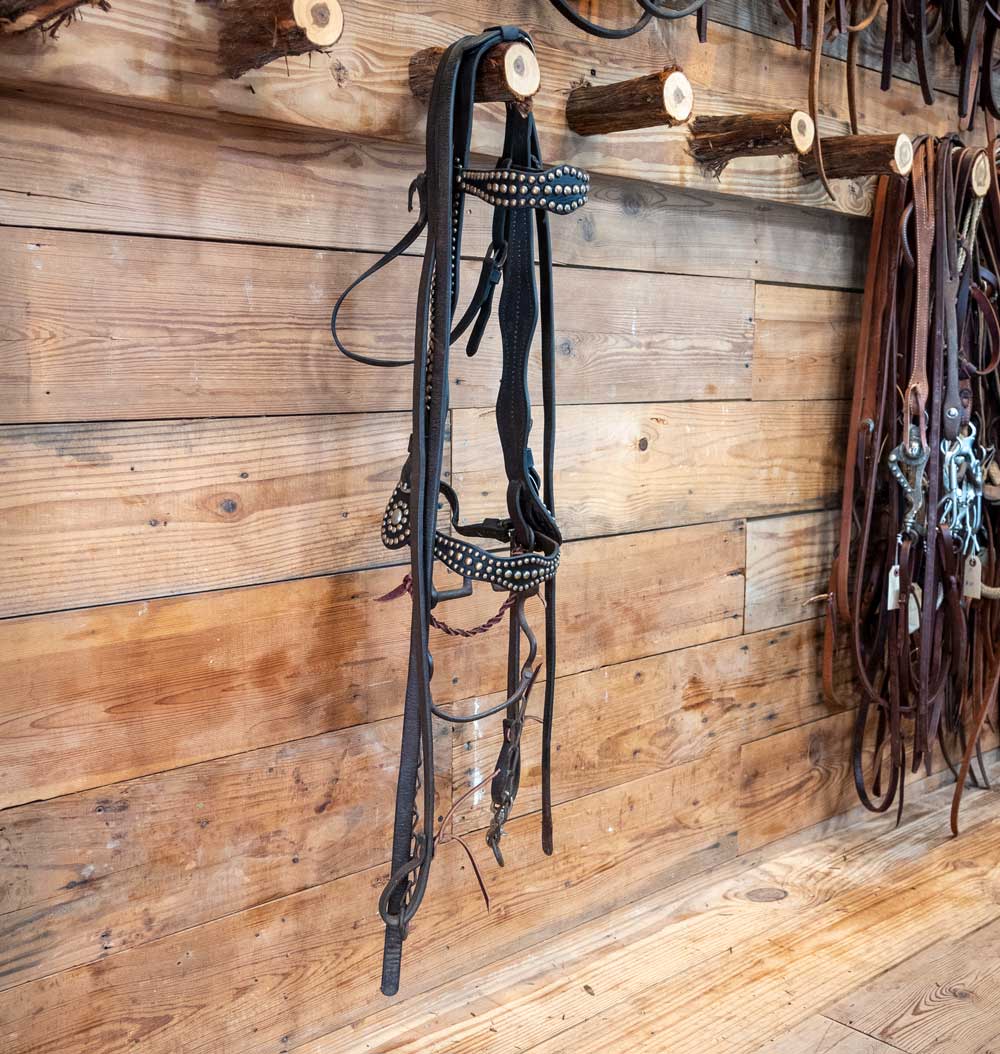 Vintage Bridle Rig with a Solid Port Bit — Teskeys