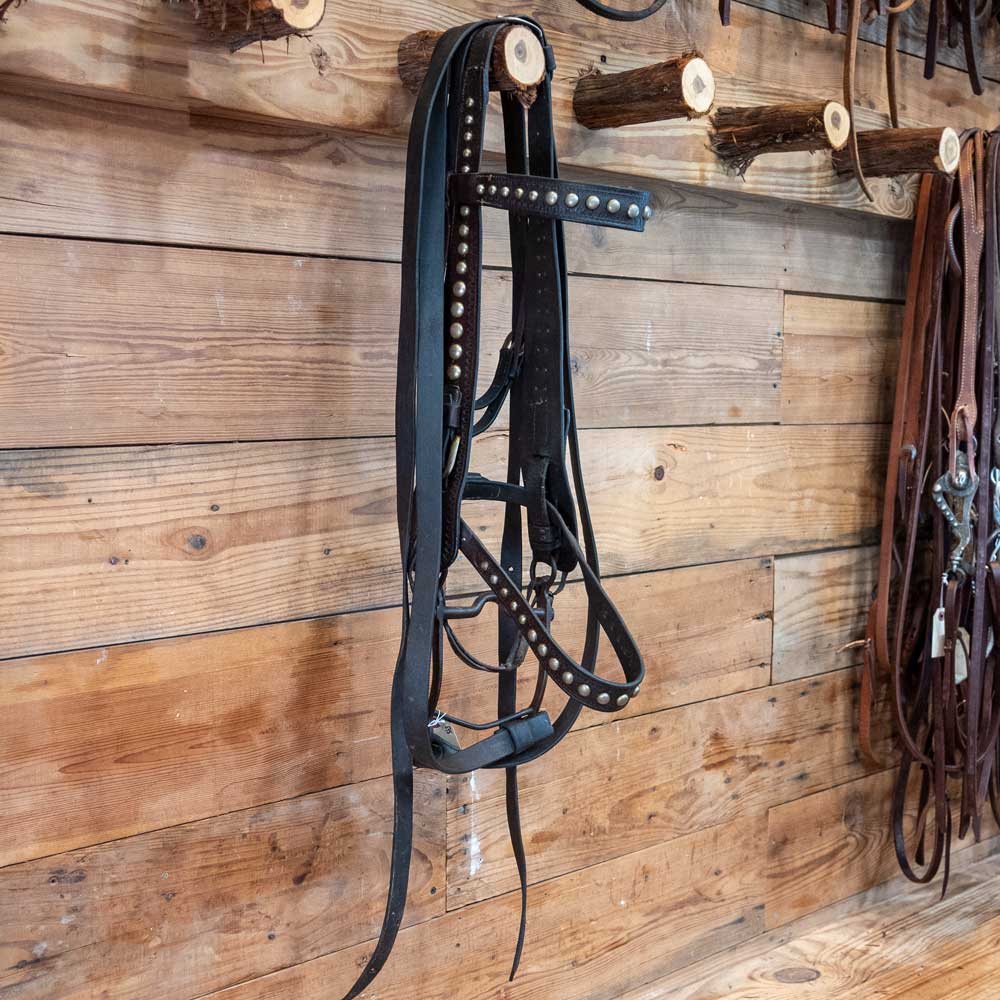 Vintage Horse Bridle Rig - Teskeys