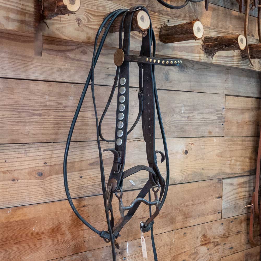 Vintage Horse Bridle Rig - Teskeys