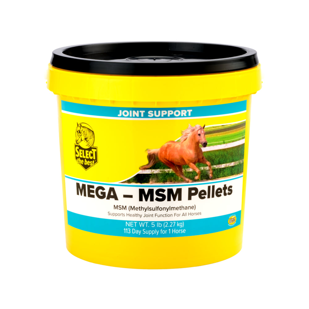 Mega MSM Pellets - Teskeys