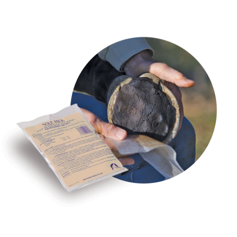 Hawthorne Sole Pack Hoof Packing - Teskeys
