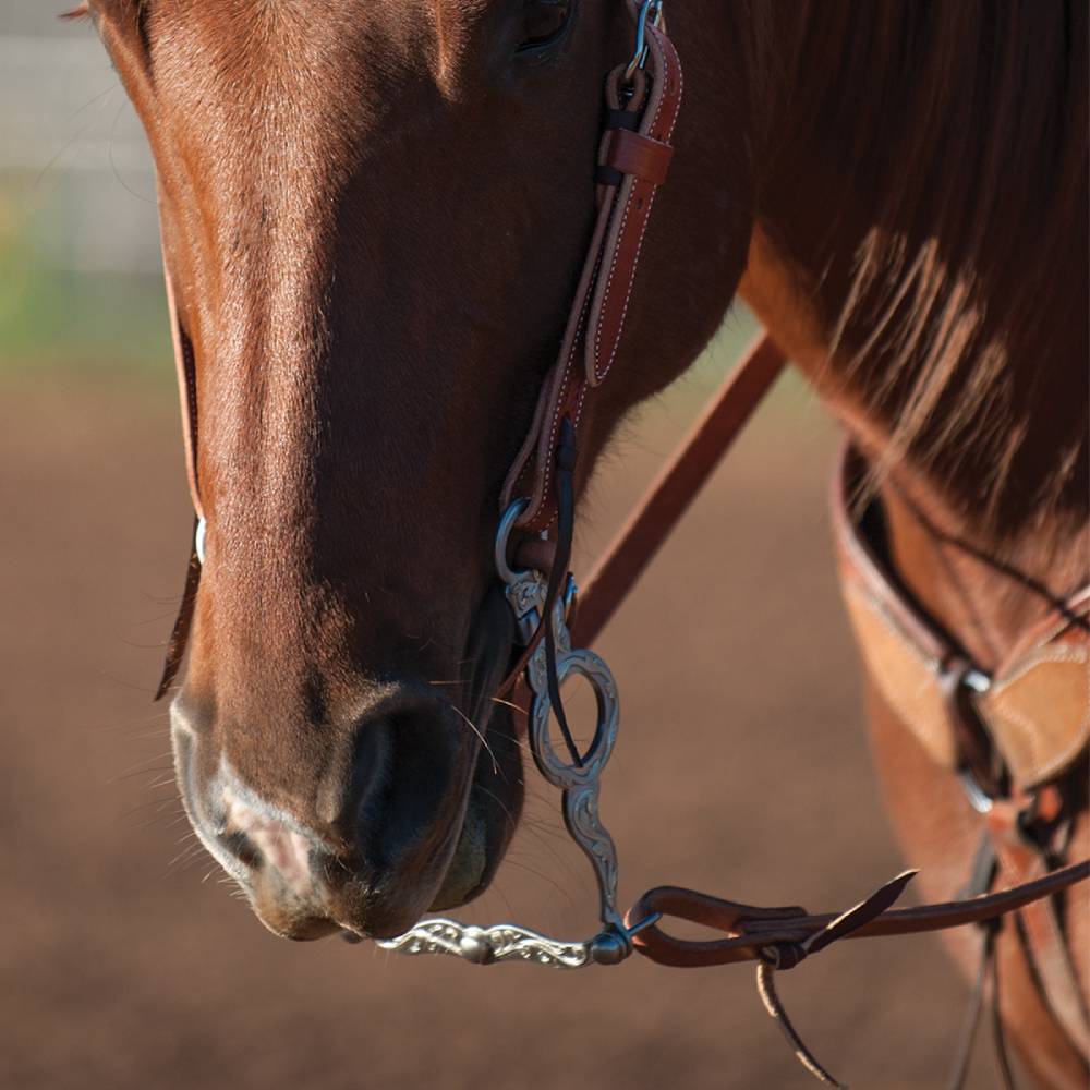 Classic Equine Cowhorse Collection Port And Roller Bit - Teskeys