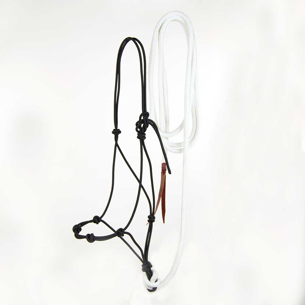 Steele Clinician Halter with 15' Lead - Teskeys